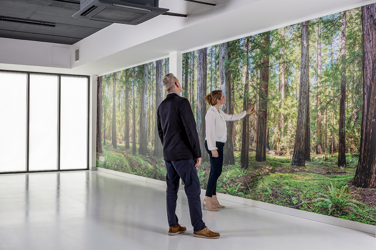 Papergraphics brings out 3.2m wide one-piece printable wallcovering ...